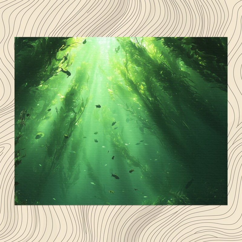 Kelp Forest Art - Etsy