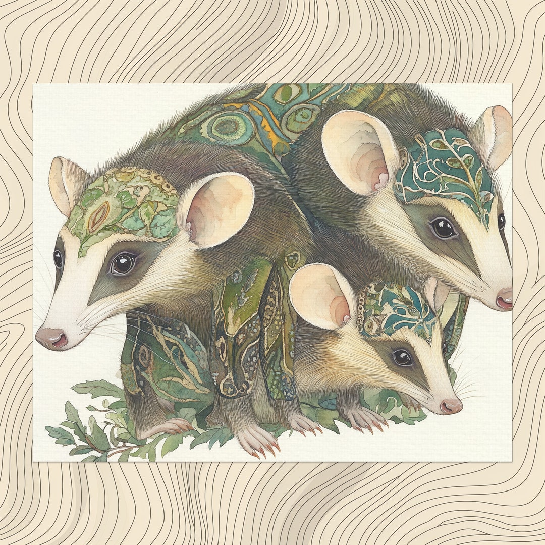 Opossum Canvas Wall Art Decor Perfect for Nature Lovers Featuring ...