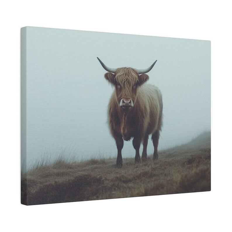 Highland Cow Canvas Wall Art, Scottish Highlander Decor Rustic ...