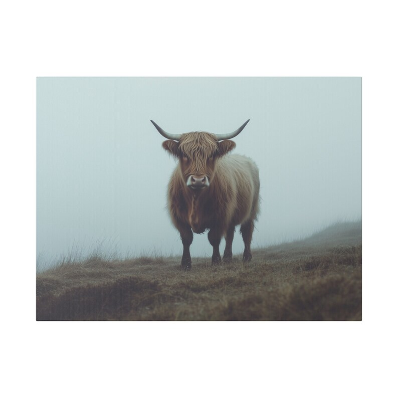 Highland Cow Canvas Wall Art, Scottish Highlander Decor Rustic ...
