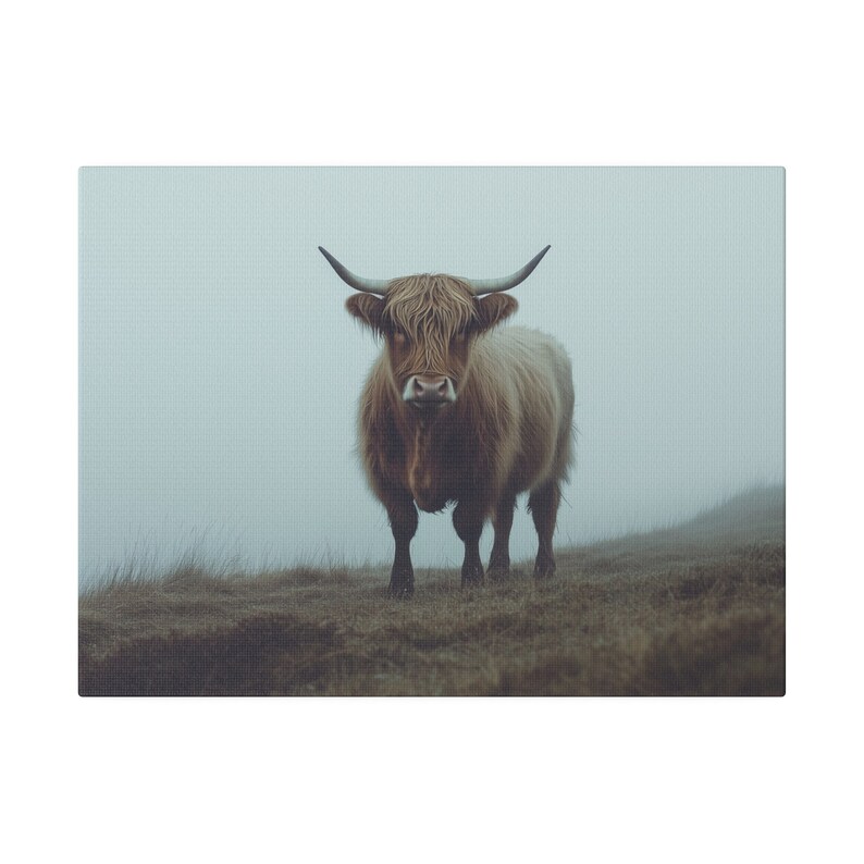 Highland Cow Canvas Wall Art, Scottish Highlander Decor Rustic ...