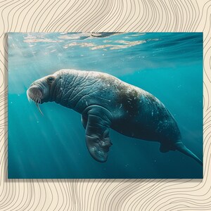 Walrus Canvas Wall Art, Underwater Animal Decor, Sea Life, Marine ...