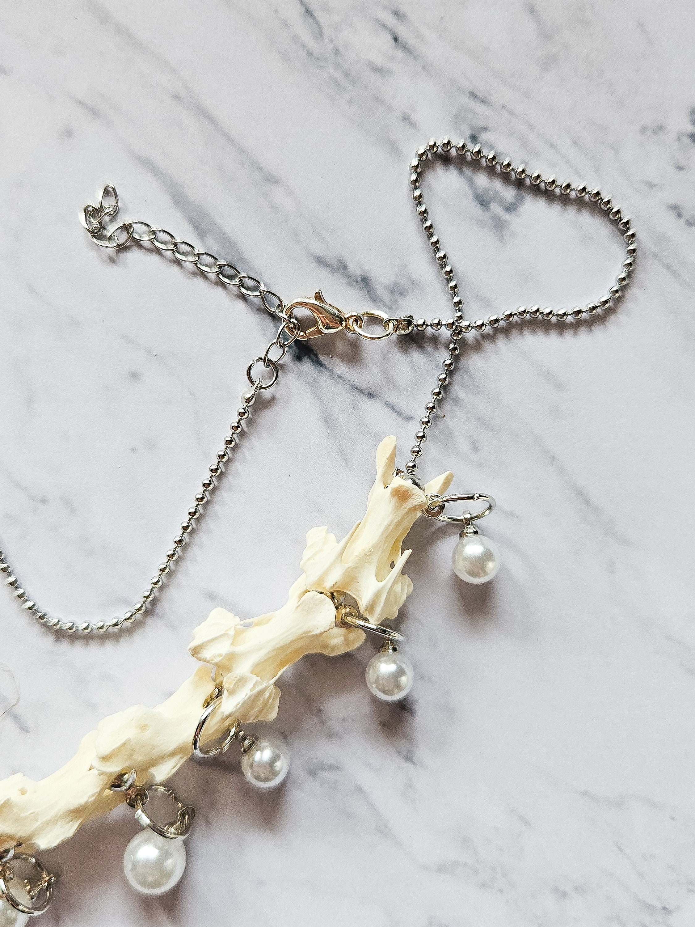 Bone Necklace, Gothic Bone Necklace, Animal Bones Jewelry, Vertebrae ...