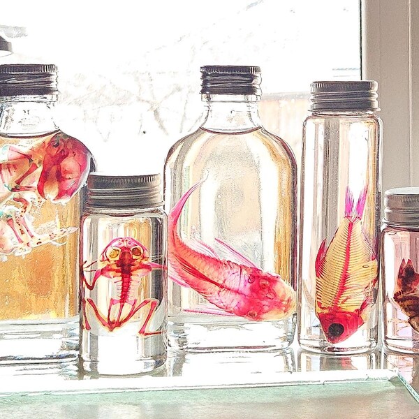 Diaphonization - Etsy