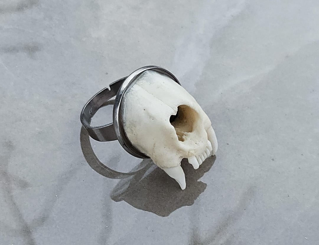 Bones Ring, Real Bone Ring, Animal Jaw, Skull Jewelry, Bones Jewelry - Etsy