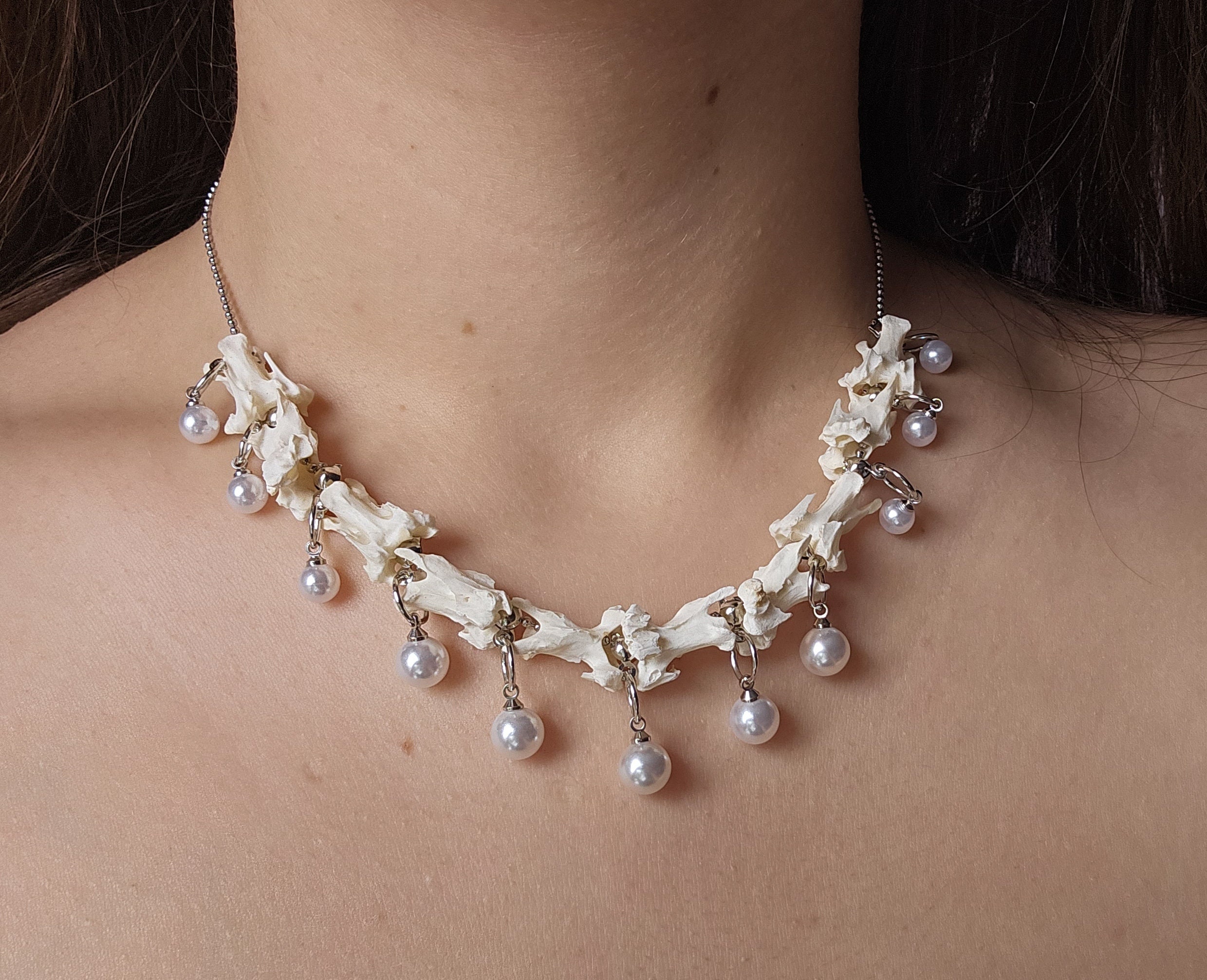 Bone Necklace, Gothic Bone Necklace, Animal Bones Jewelry, Vertebrae ...