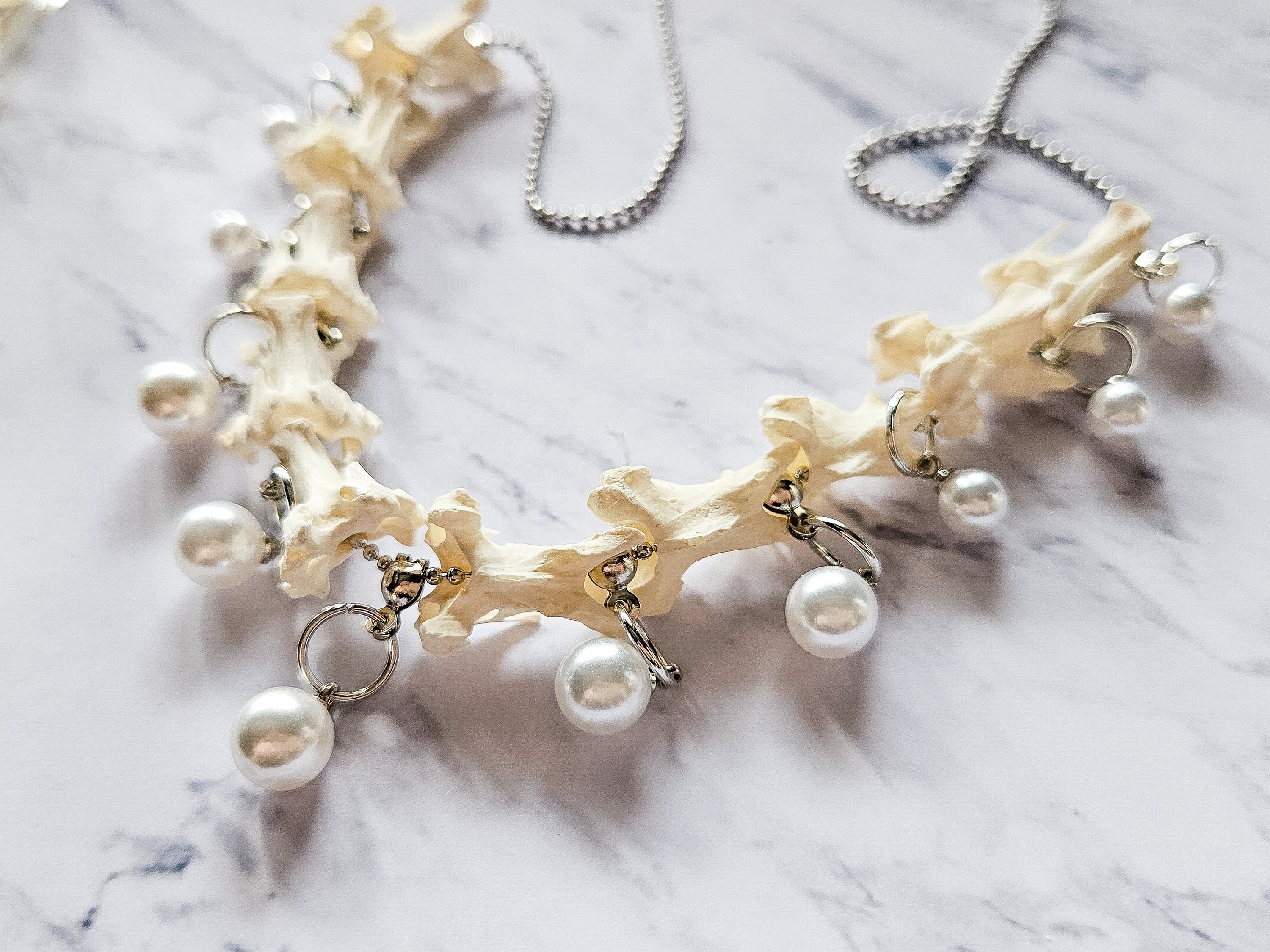 Bone Necklace, Gothic Bone Necklace, Animal Bones Jewelry, Vertebrae ...