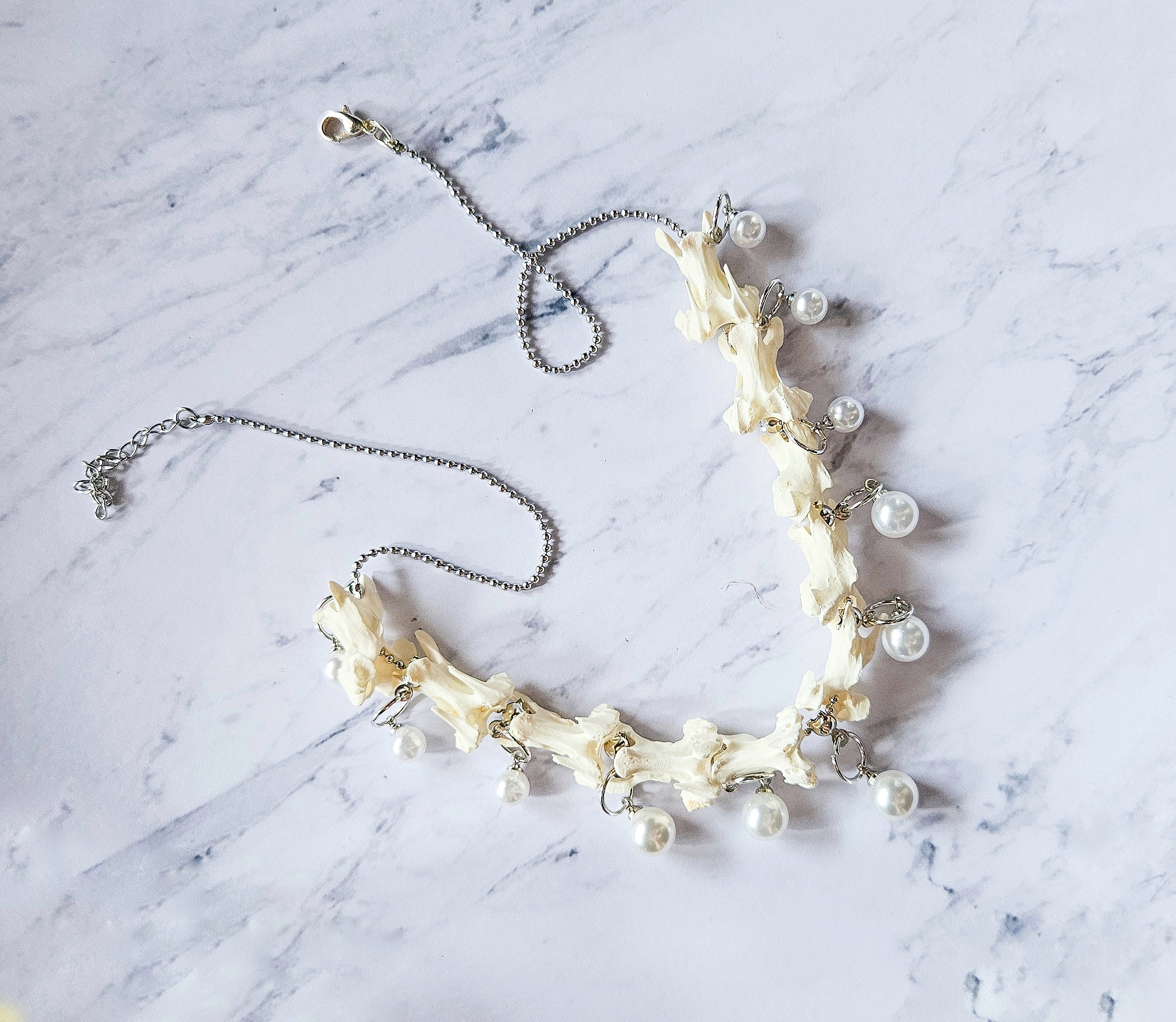 Bone Necklace, Gothic Bone Necklace, Animal Bones Jewelry, Vertebrae ...