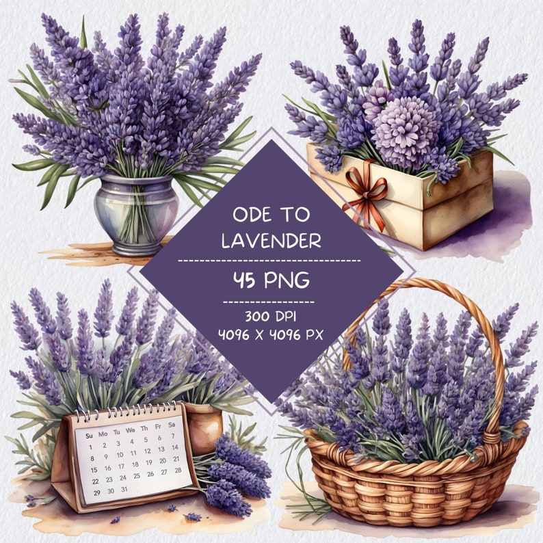 Ode to Lavender Clipart Bundle, French Lavender Flowers Clip Art ...