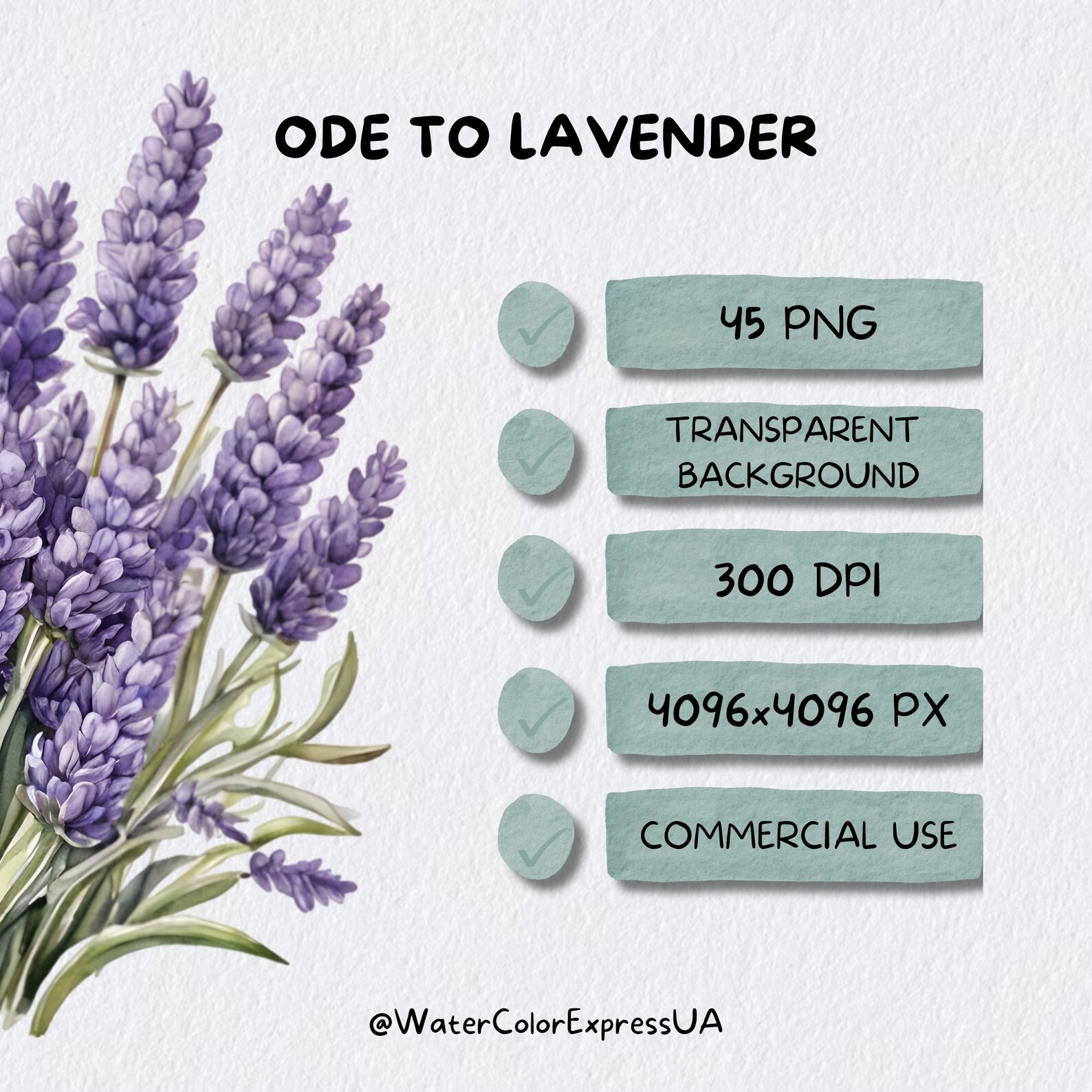 Ode to Lavender Clipart Bundle, French Lavender Flowers Clip Art ...