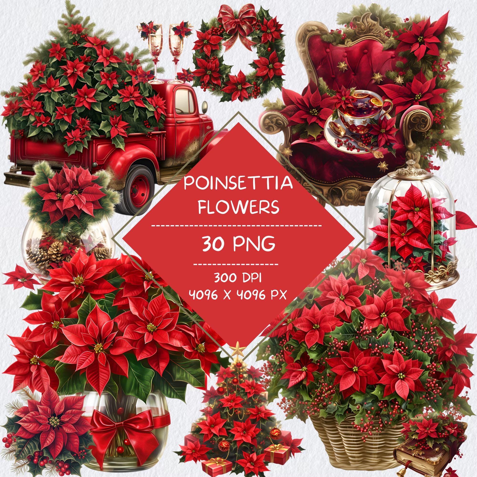Watercolor Poinsettia Flower Clipart Bundle, Winter Holiday Floral ...