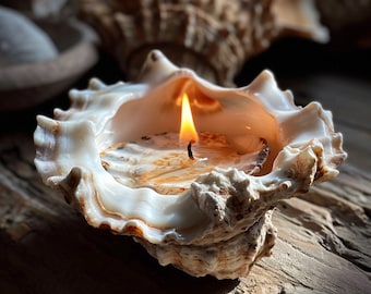 Create Your Own Seashell Candle Holders for Home Beauty - Etsy