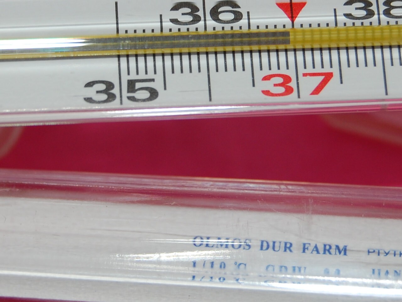 Mercury Thermometer Marked and Certified OLMOS FARM vintege Type ...