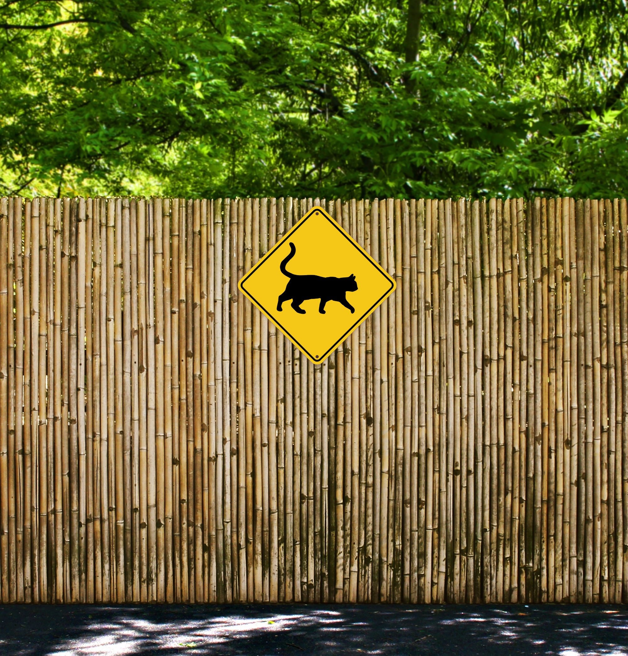 Cat Warning Sign: Miki Design, Weatherproof Metal Art (27x27cm ...