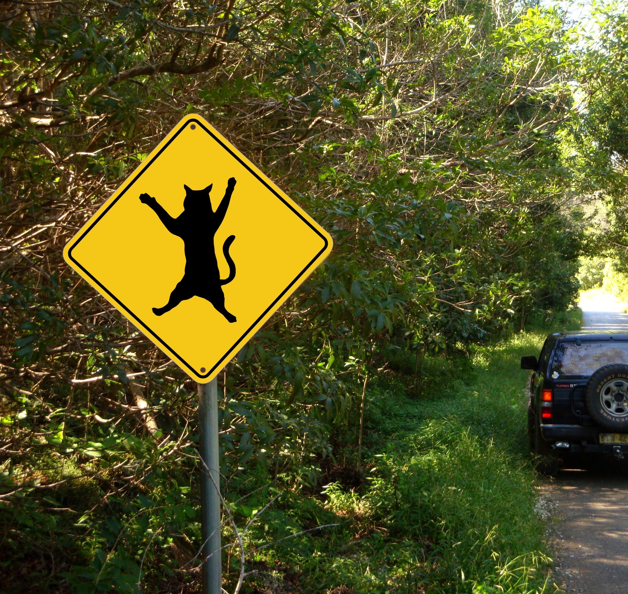 Cat Warning Sign: Miki Design, Weatherproof Metal Art (27x27cm ...