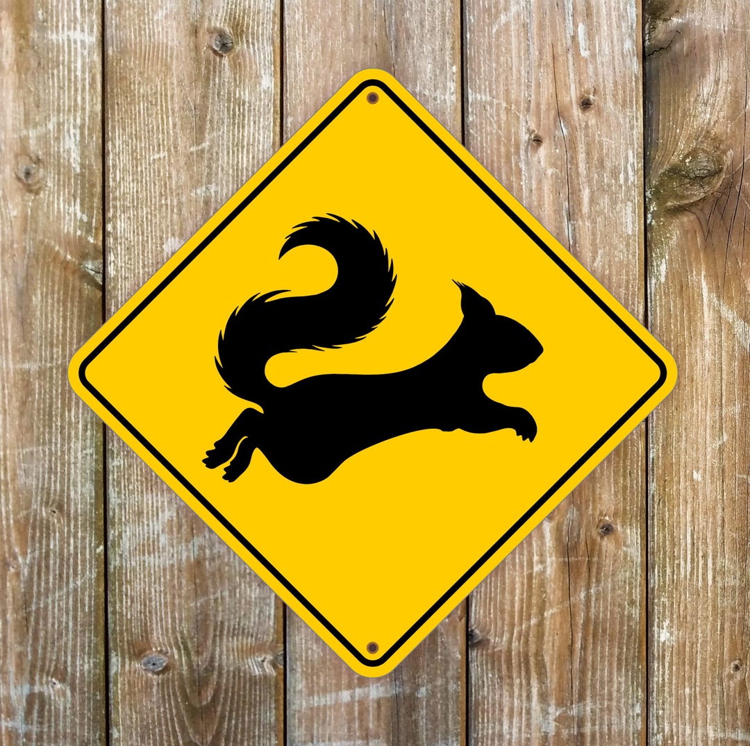 Squirrel Crossing Sign: Weatherproof Aluminum Outdoor Decor (27x27 Cm ...