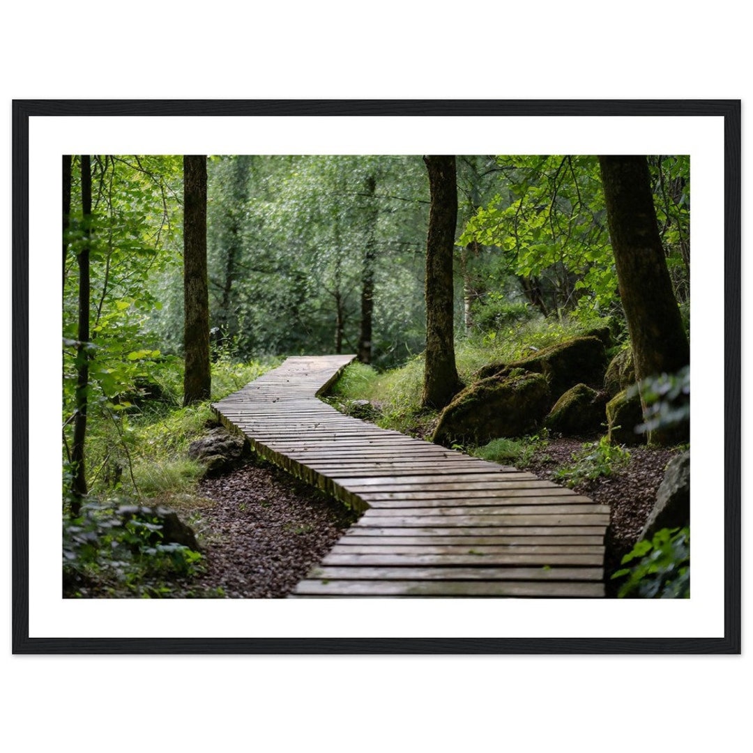 Tranquil Pathway Premium Matte Paper Wooden Framed Poster, Wall Art ...