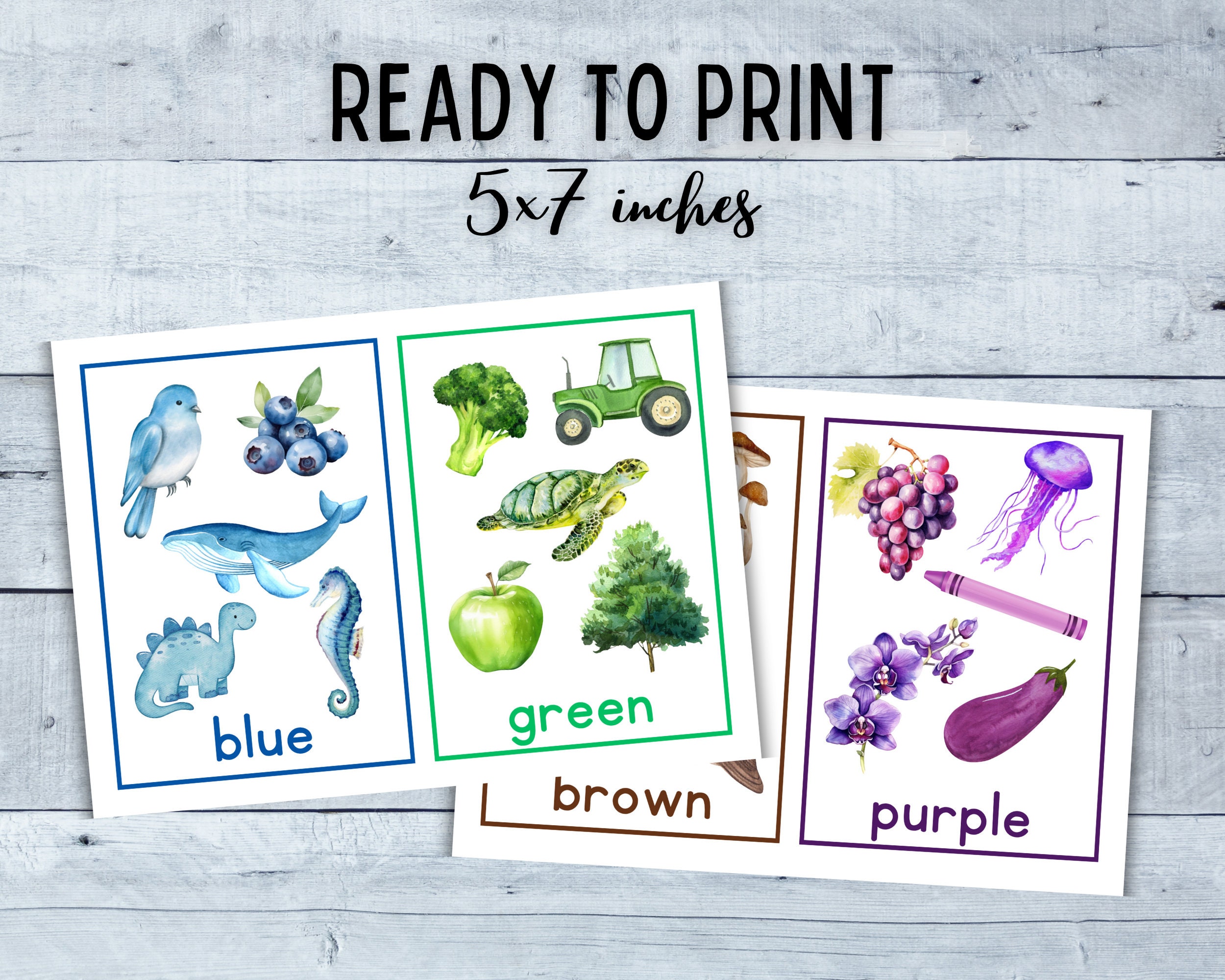 12 Color Flash Cards, Color Posters, Preschool Montessori Materials ...