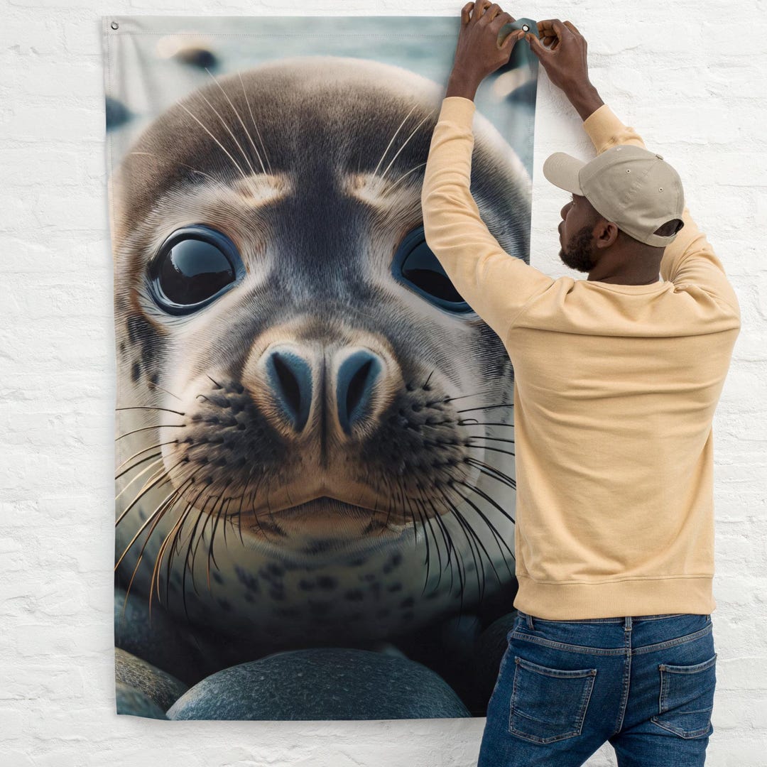 Seal Wall Art, Personalized Seal Wall Art, Personalised Seal Wall Art ...