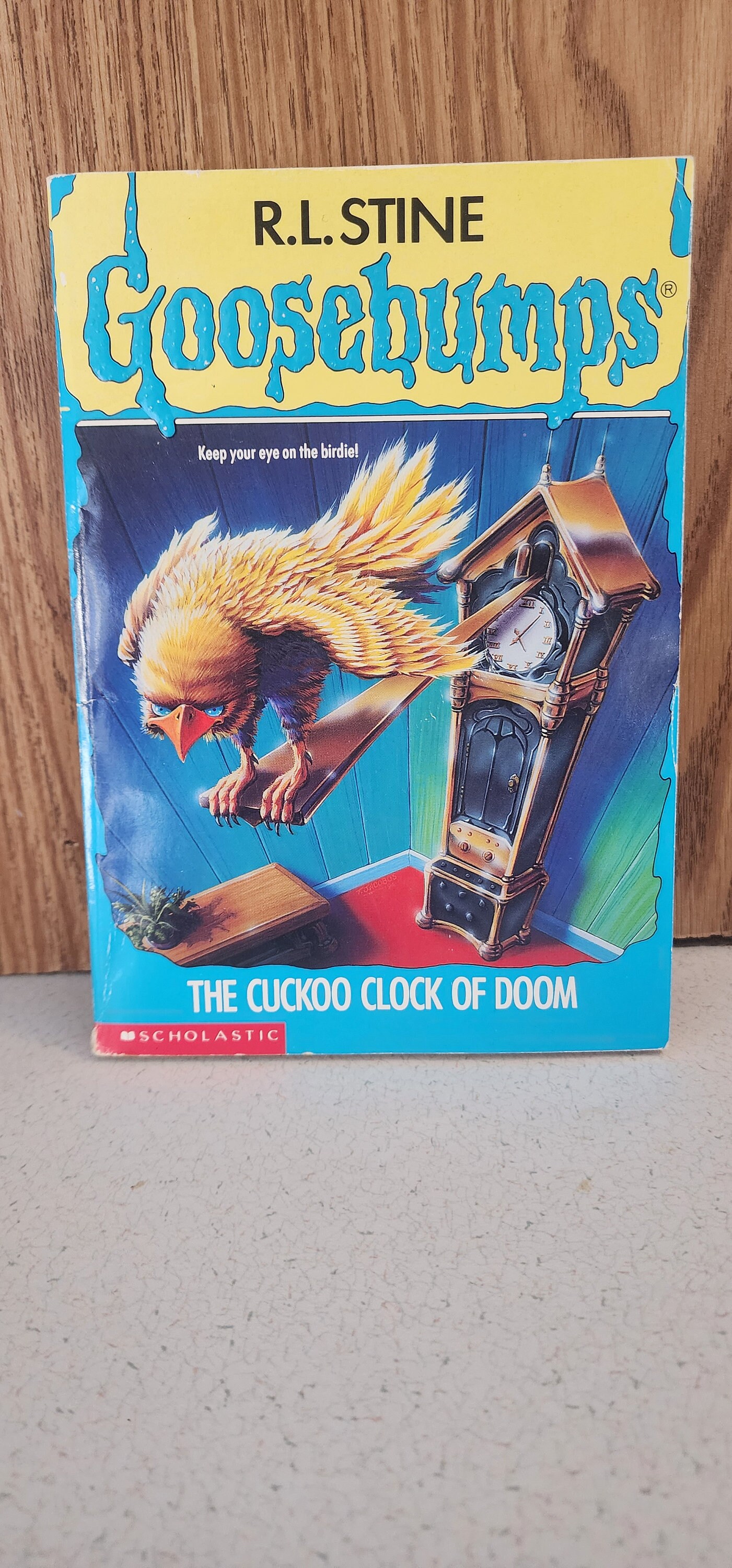 The Cuckoo Clock of Doom, R.L. Stine, Kids, Young Adult, Scary, Creepy ...