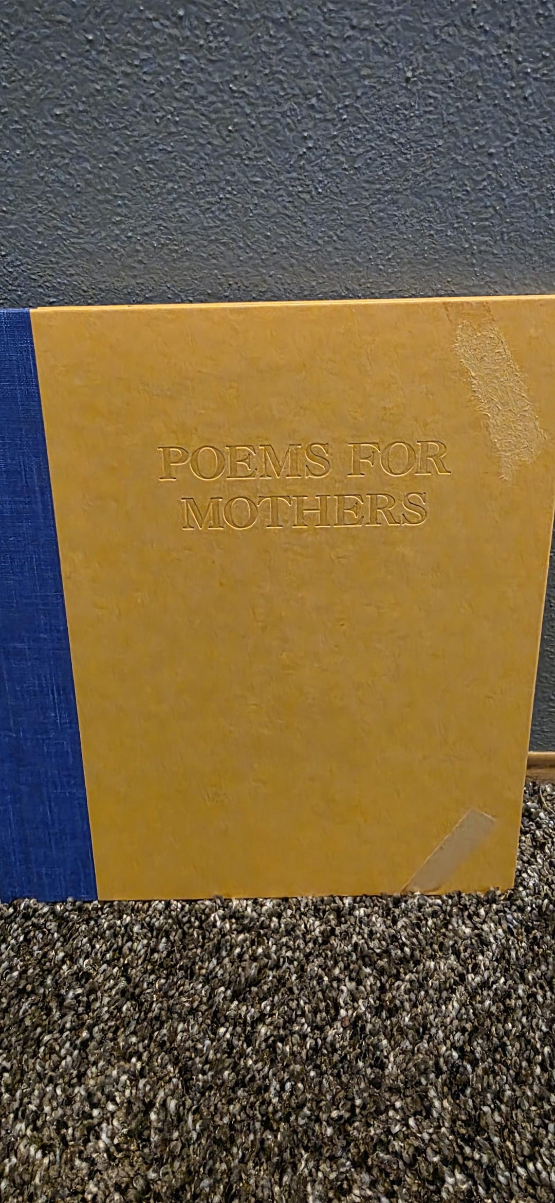 Poems for Mothers, Myra Cohn Livingston, Illustrated Deborah Kogan Ray ...