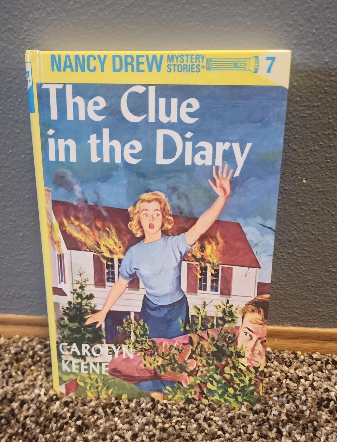 Nancy Drew, the Clue in the Diary, Carolyn Keene, 1994 - Etsy