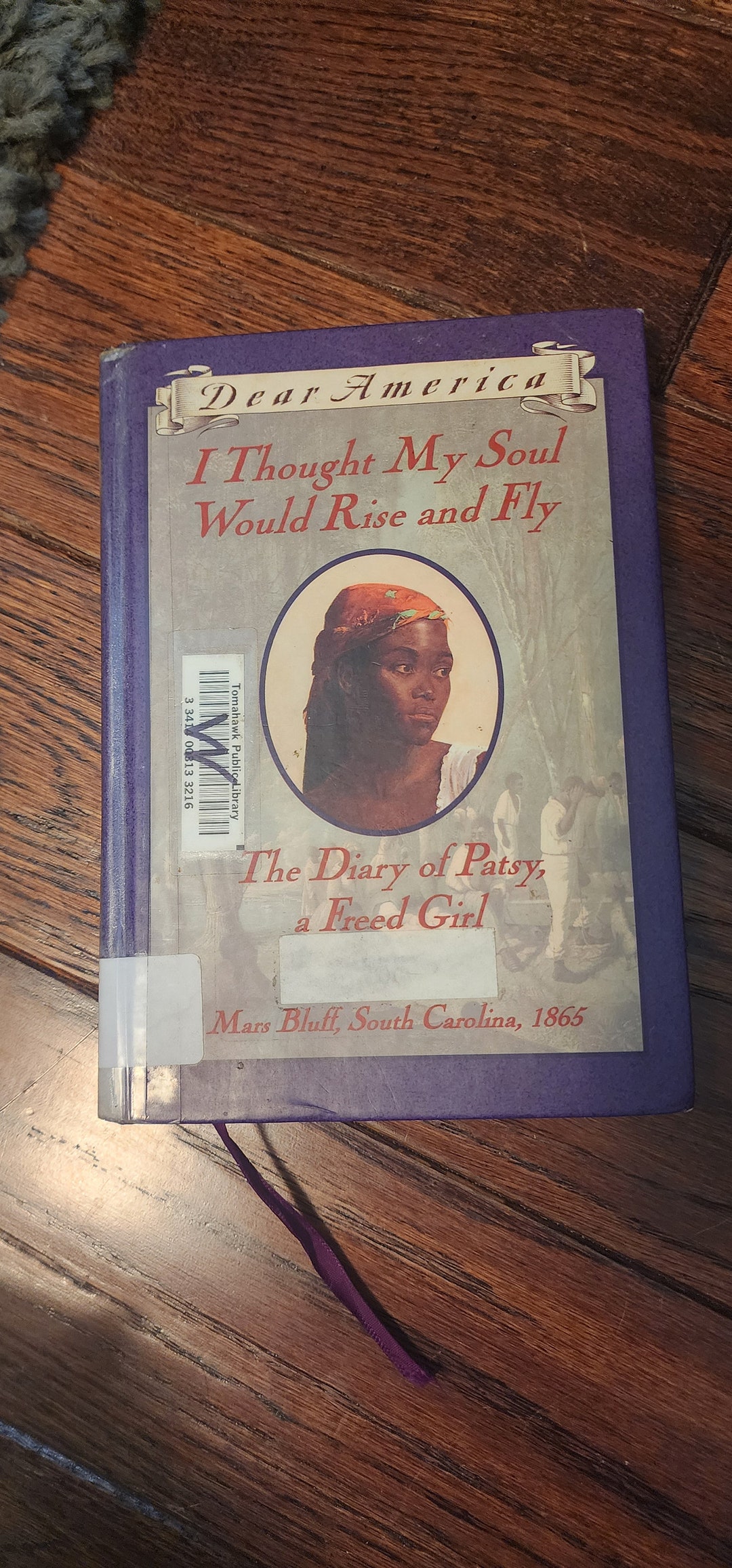 I Thought My Soul Would Rise and Fly, Dear America, 1st Edition - Etsy