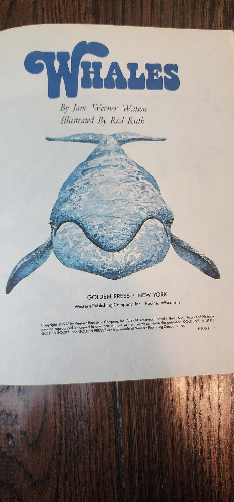 Whales, Little Golden Book, Children's, Vintage, 1978, Jane Werner ...