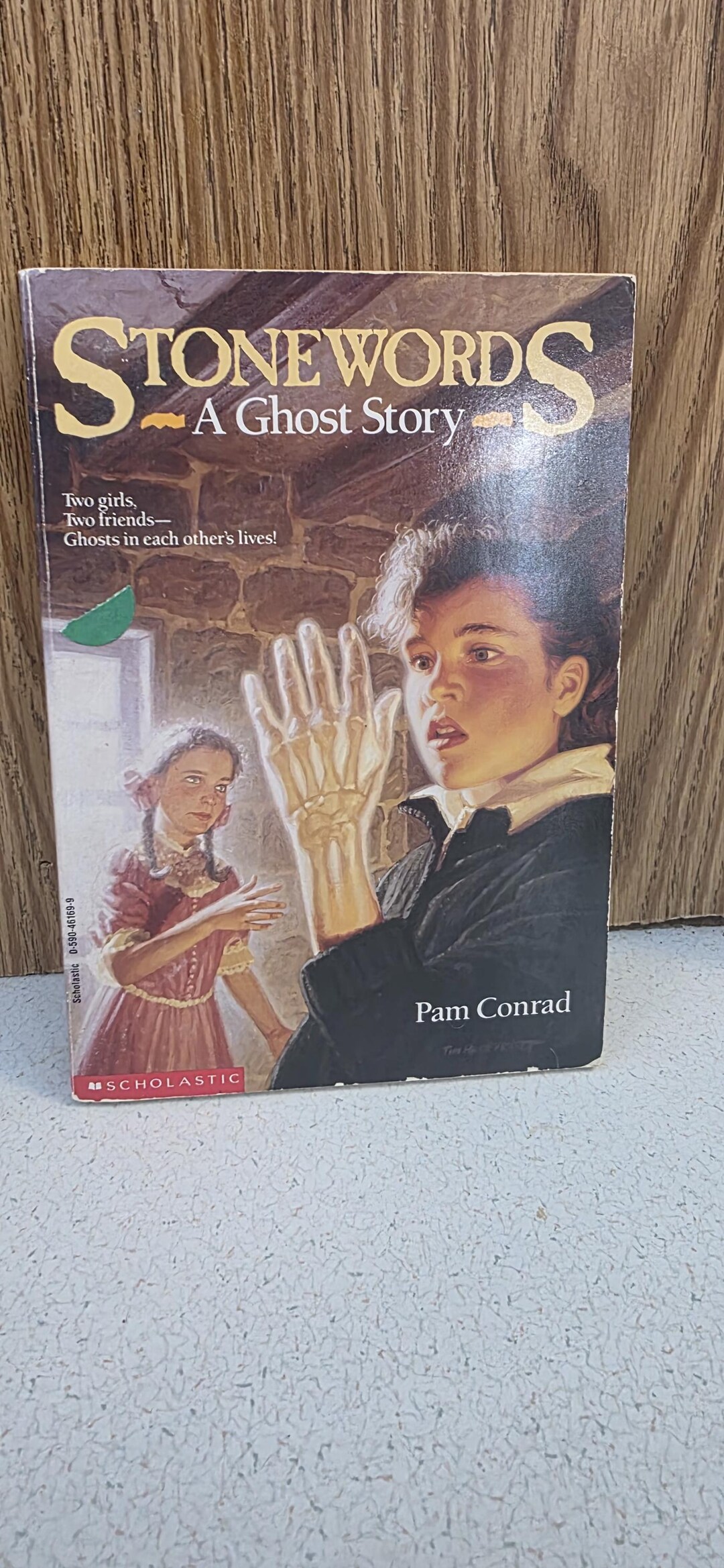 Stonewords, A Ghost Story, Pam Conrad, 1992 - Etsy
