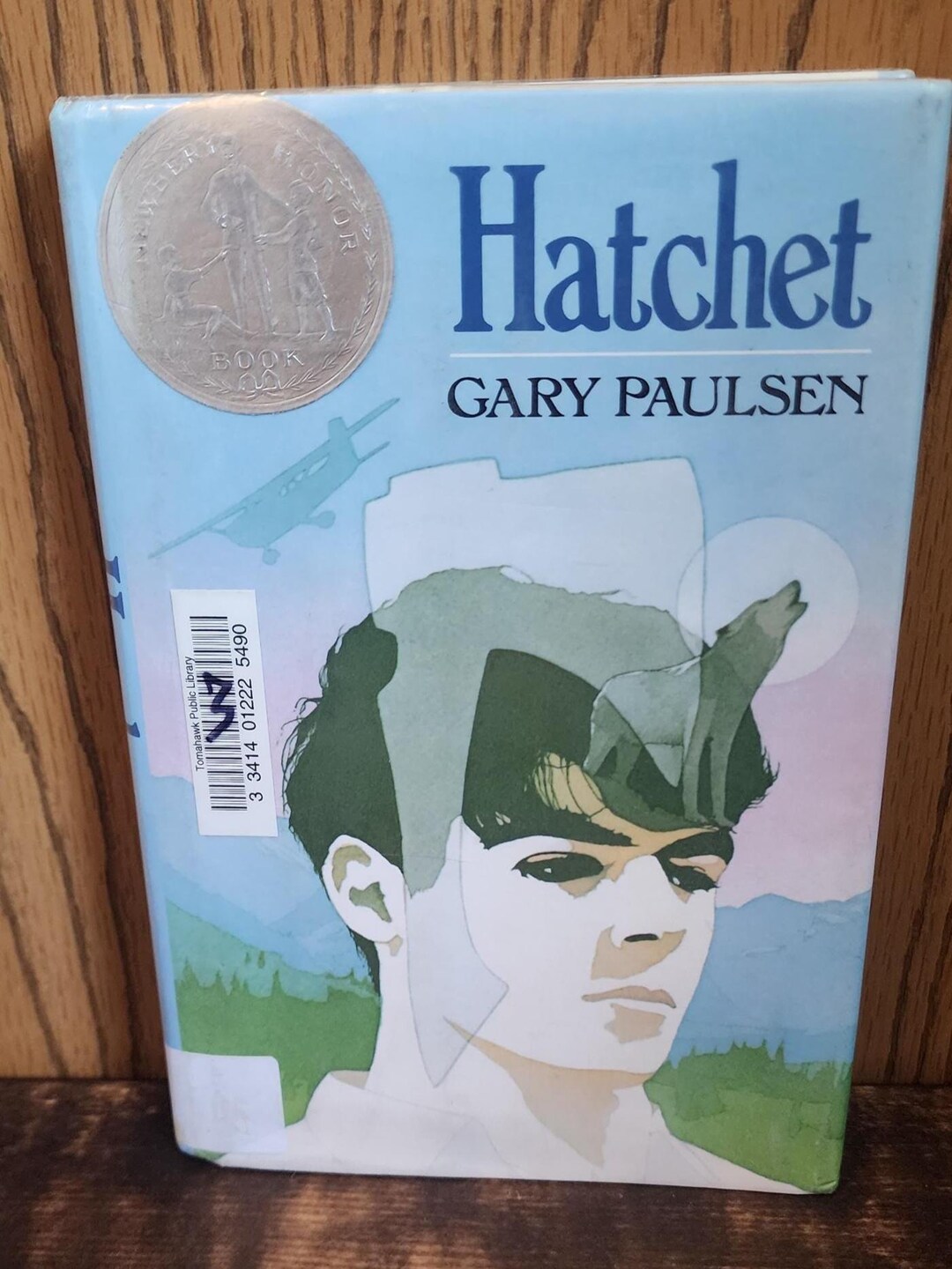 Hatchet, Gary Paulsen, 1987 - Etsy
