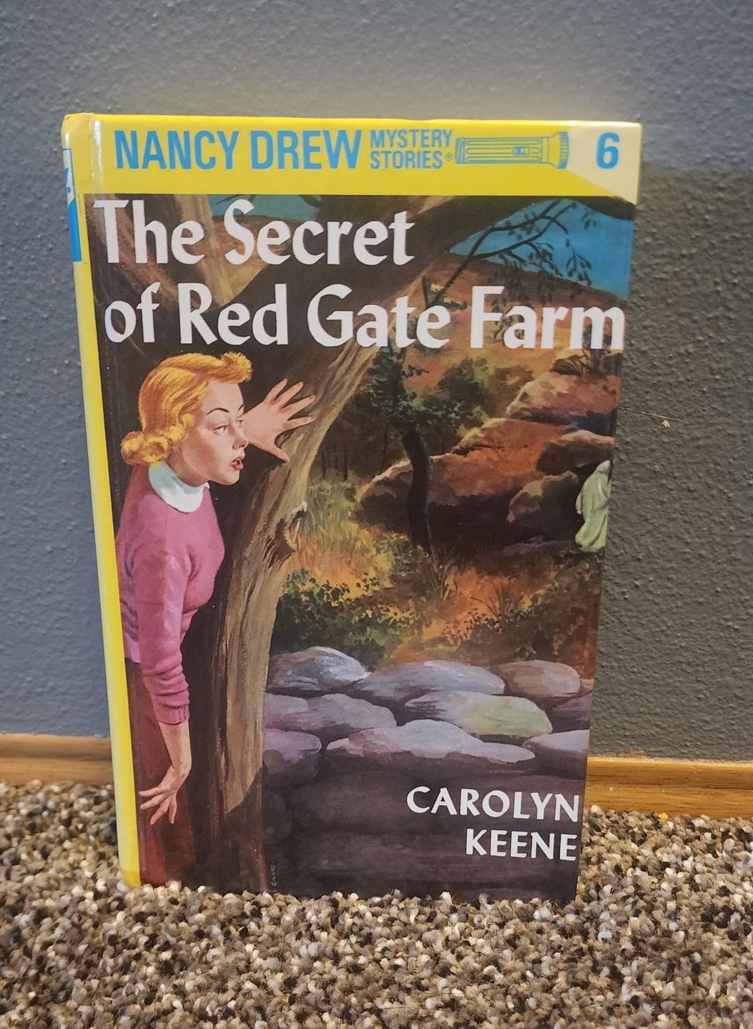 Nancy Drew, the Secret of Red Gate, Carolyn Keene, 1995 - Etsy