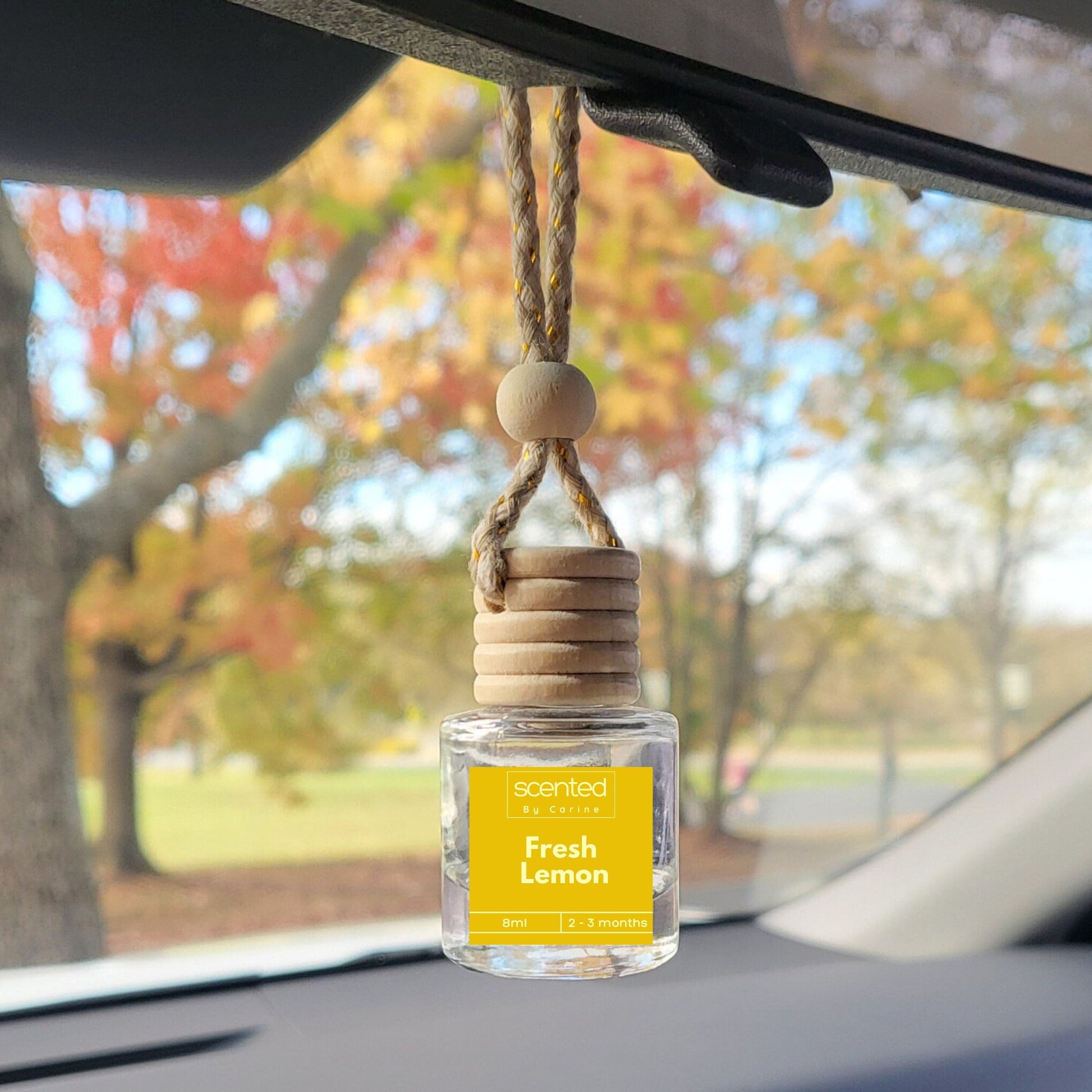 Fresh Lemon Scented Car and Closet Freshener Diffuser - Etsy