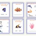 Sea Animals Printable for Kids Worksheet Activity Book Printable Pages ...