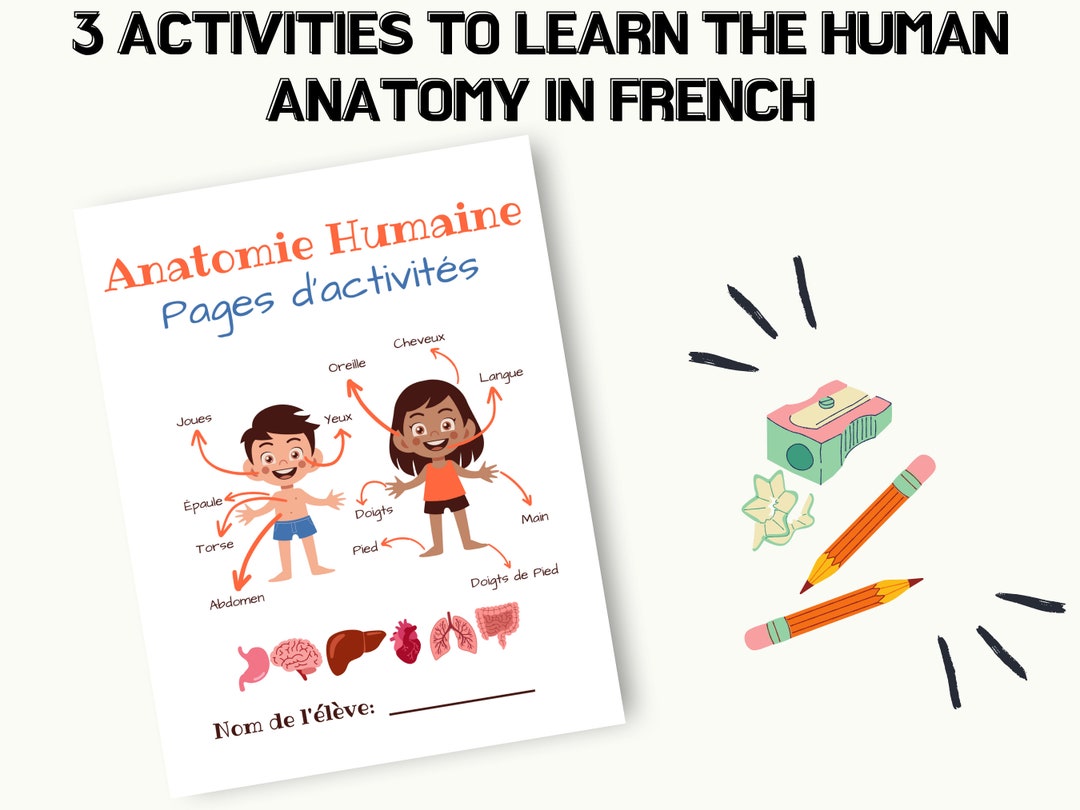 Printable Pages in French Human Body Activity for Kids Homeschool ...