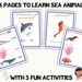 Sea Animals Printable for Kids Worksheet Activity Book Printable Pages ...