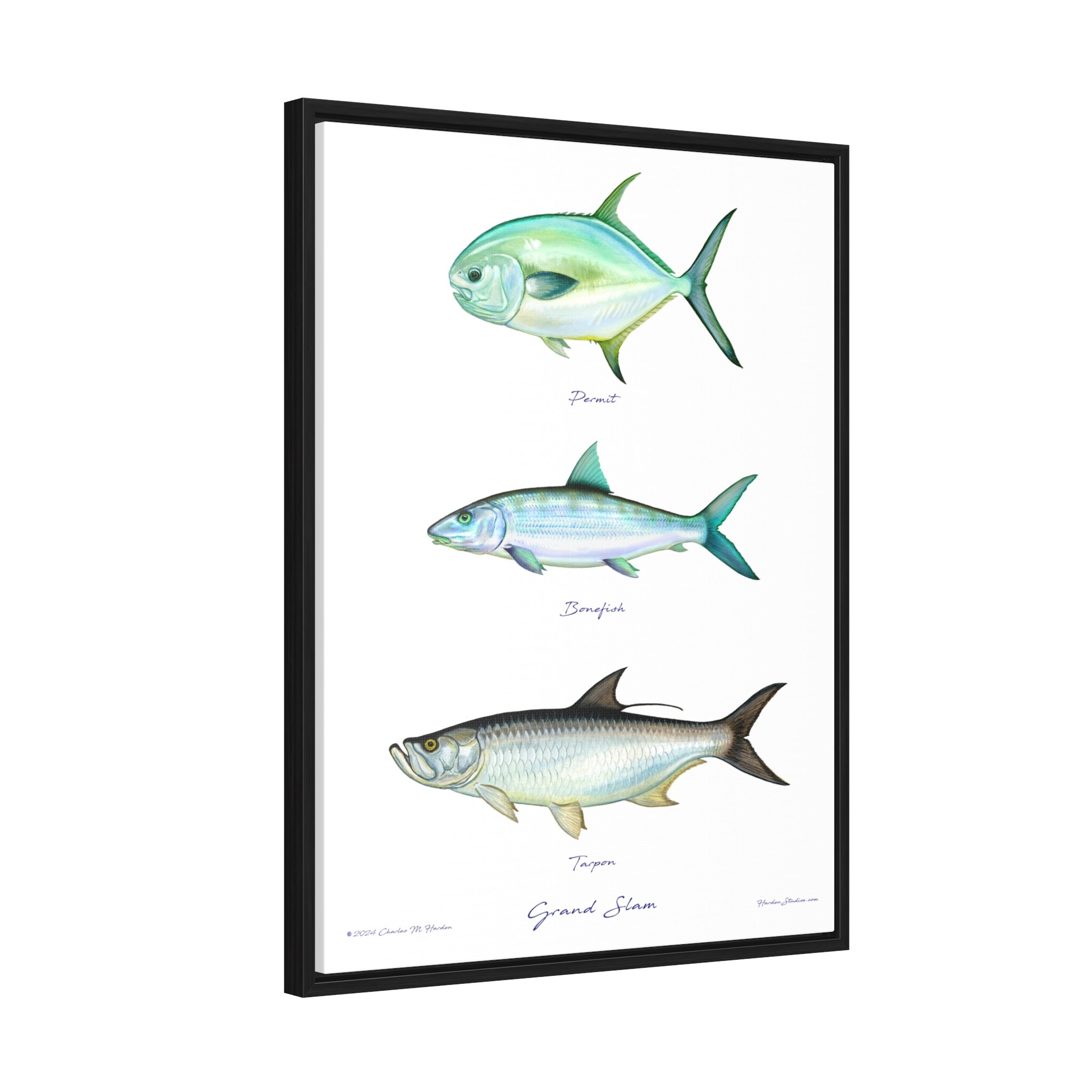 Framed Grand Slam Fish Art Canvas Print Free Shipping Tarpon Bonefish ...