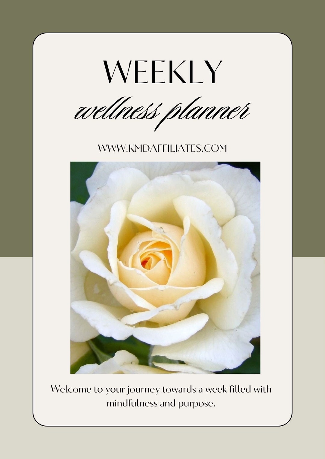 Wellness Planner, PLR Digital Templates, Goal Awareness 12 Pg Planner ...
