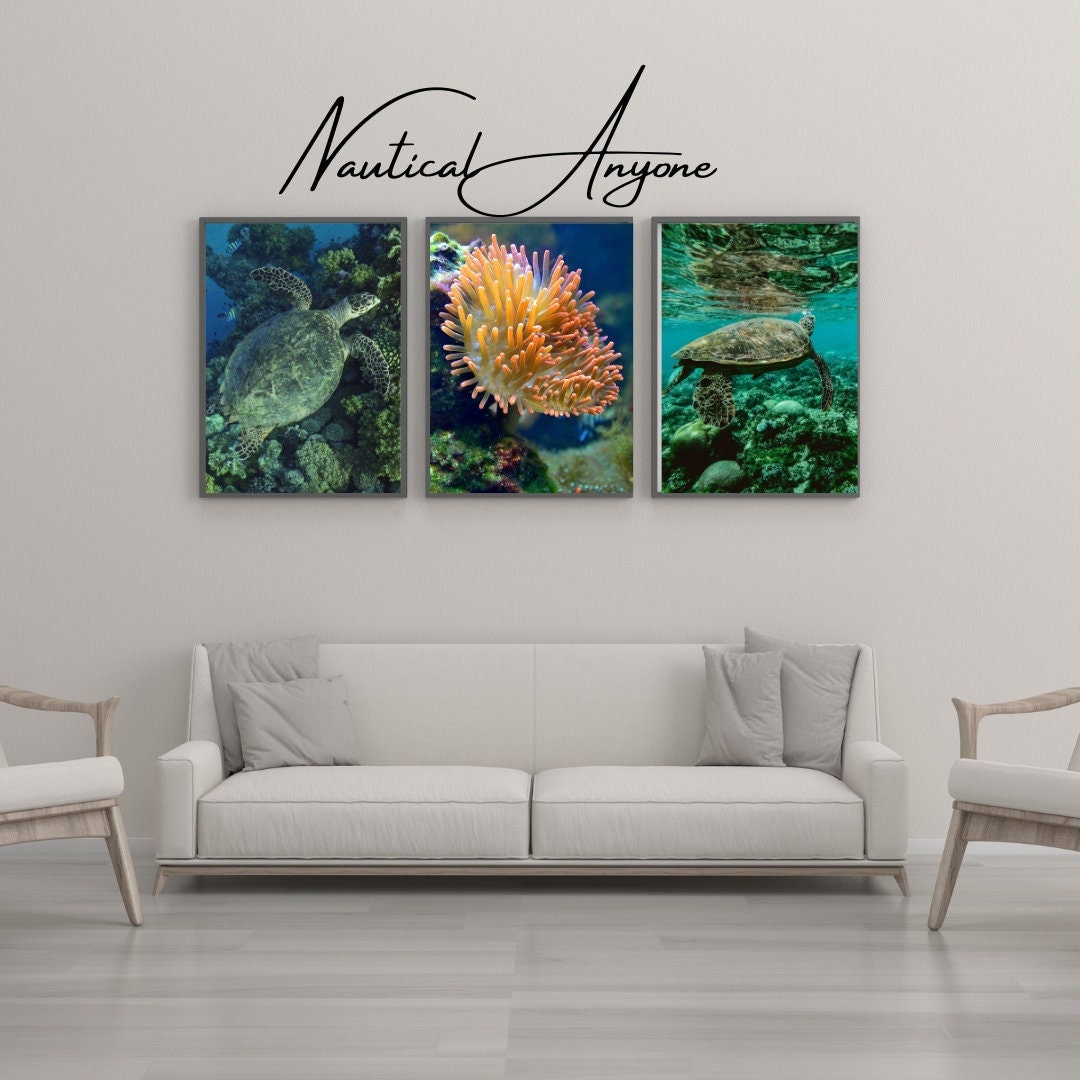 Sea Turtles, Digital Download Photo Templates, Open in Canva, Display ...