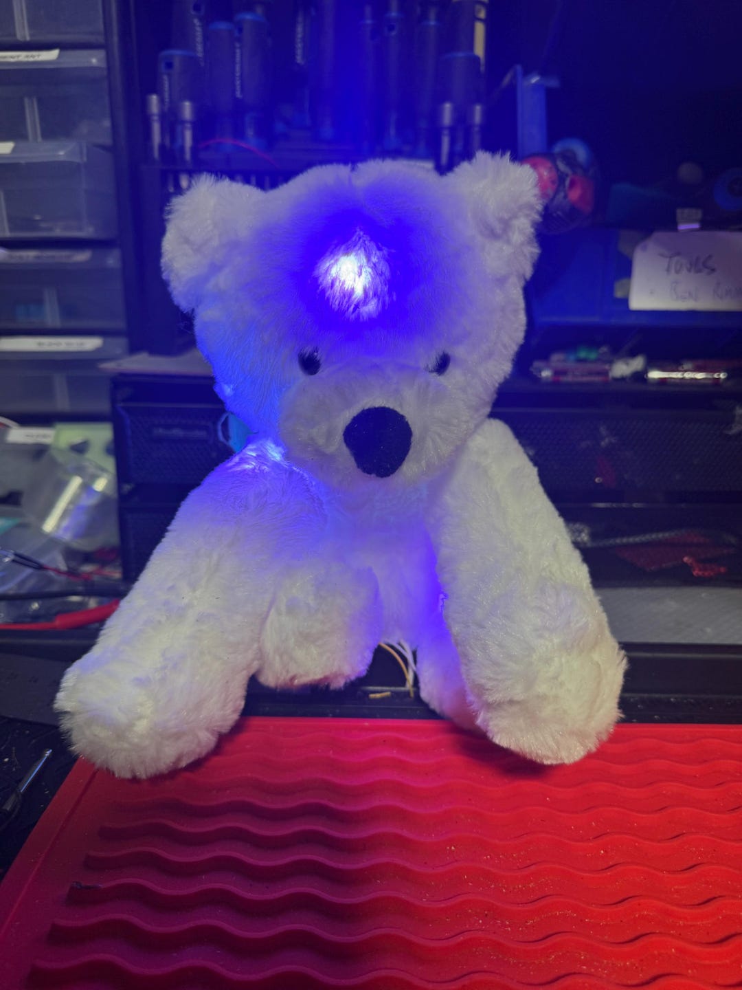 Polar Bear REM Device Trigger Object - Paranormal Proximity Sensor for ...