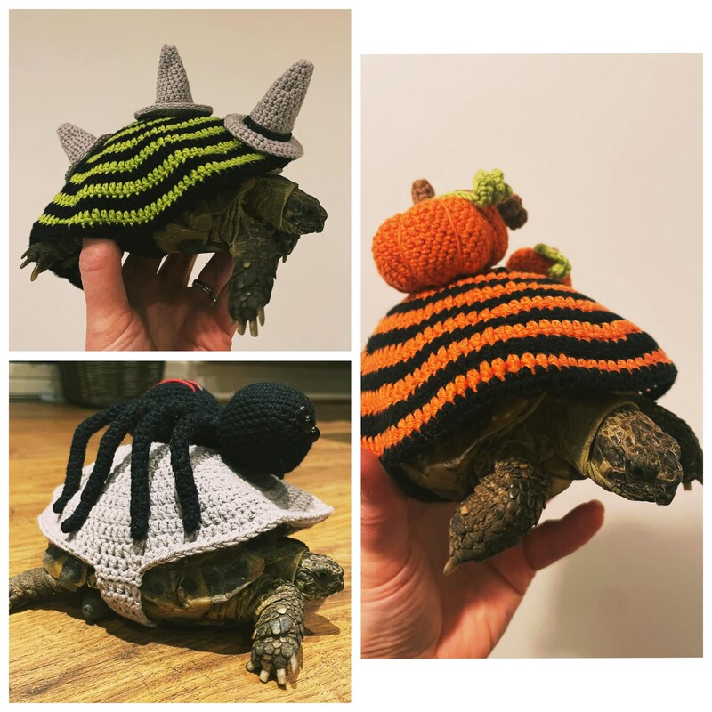 Tortoise Cozy - Etsy