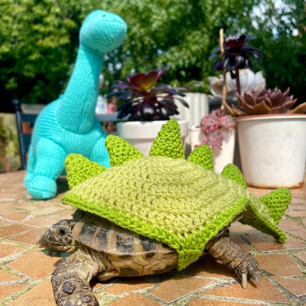 Tortoise Clothes - Etsy UK