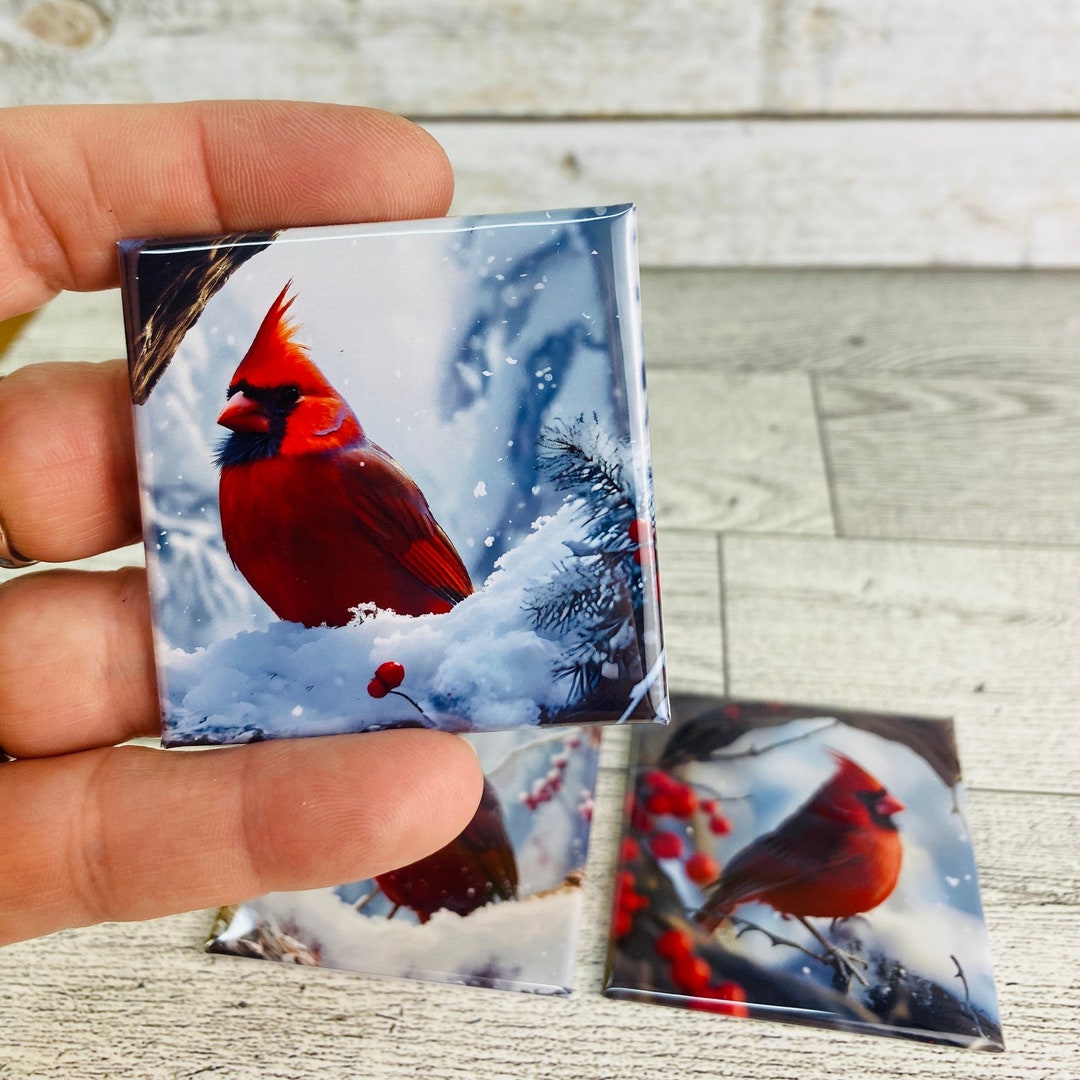 Custom Fridge Magnets, Red Cardinal Magnets Perfect for Organizing ...