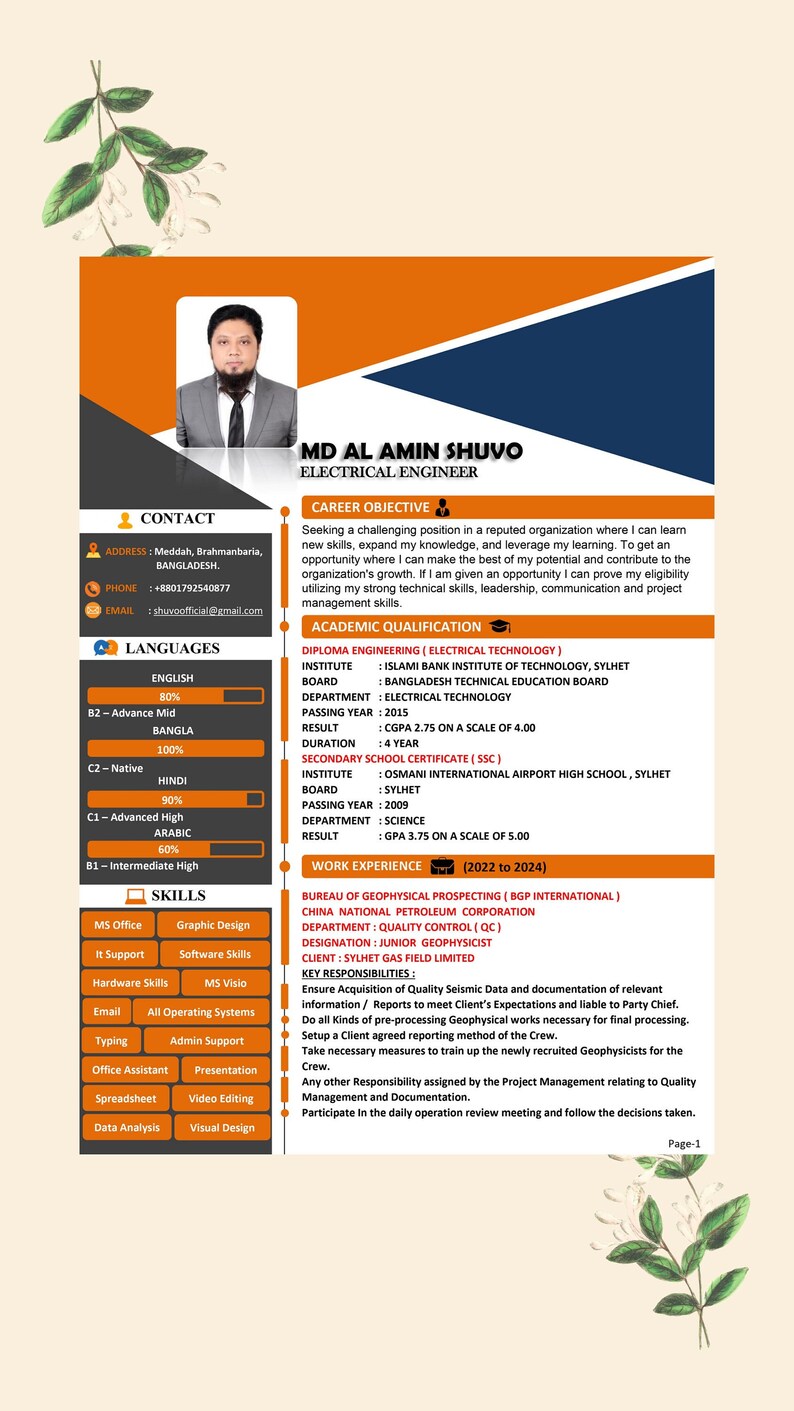 Professional 3 Page Resume Template - Etsy