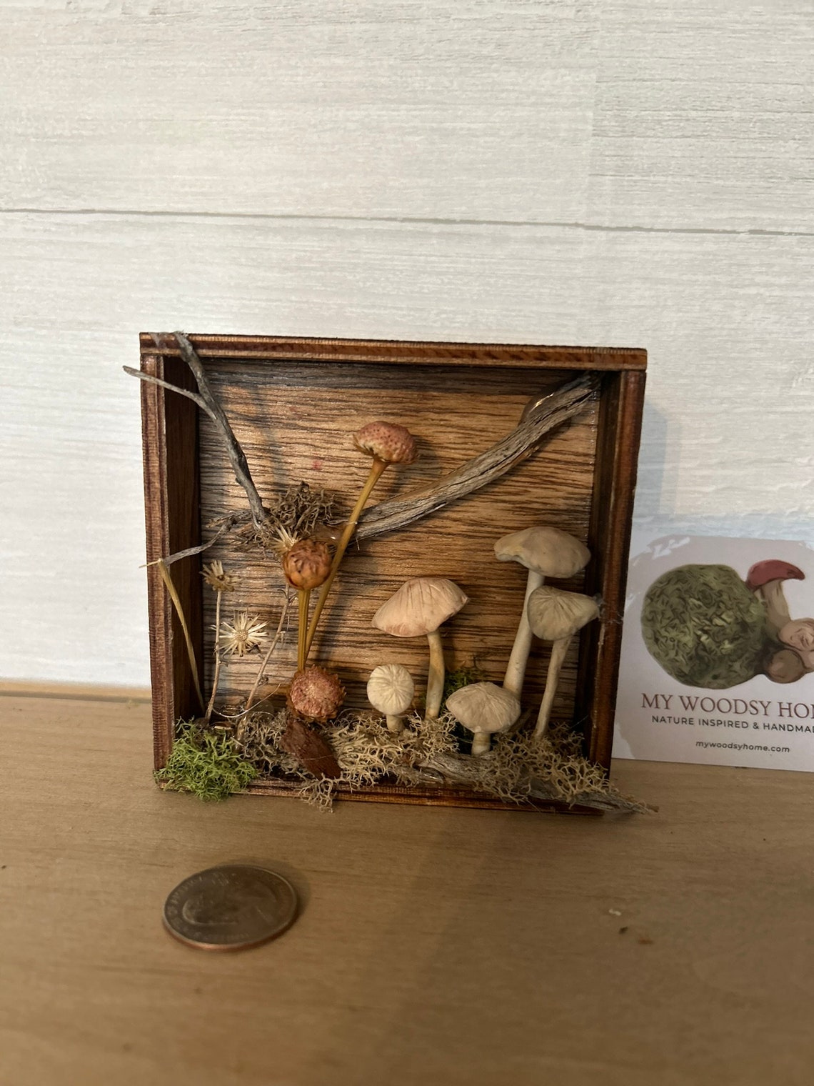 Small Mushroom Decor, Shadow Box Natural Decor, Woodland Art ...
