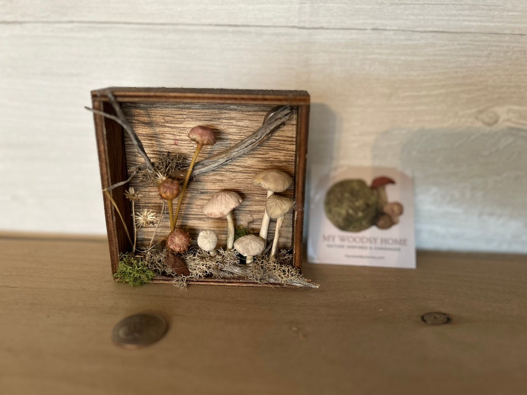 Small Mushroom Decor, Shadow Box Natural Decor, Woodland Art ...