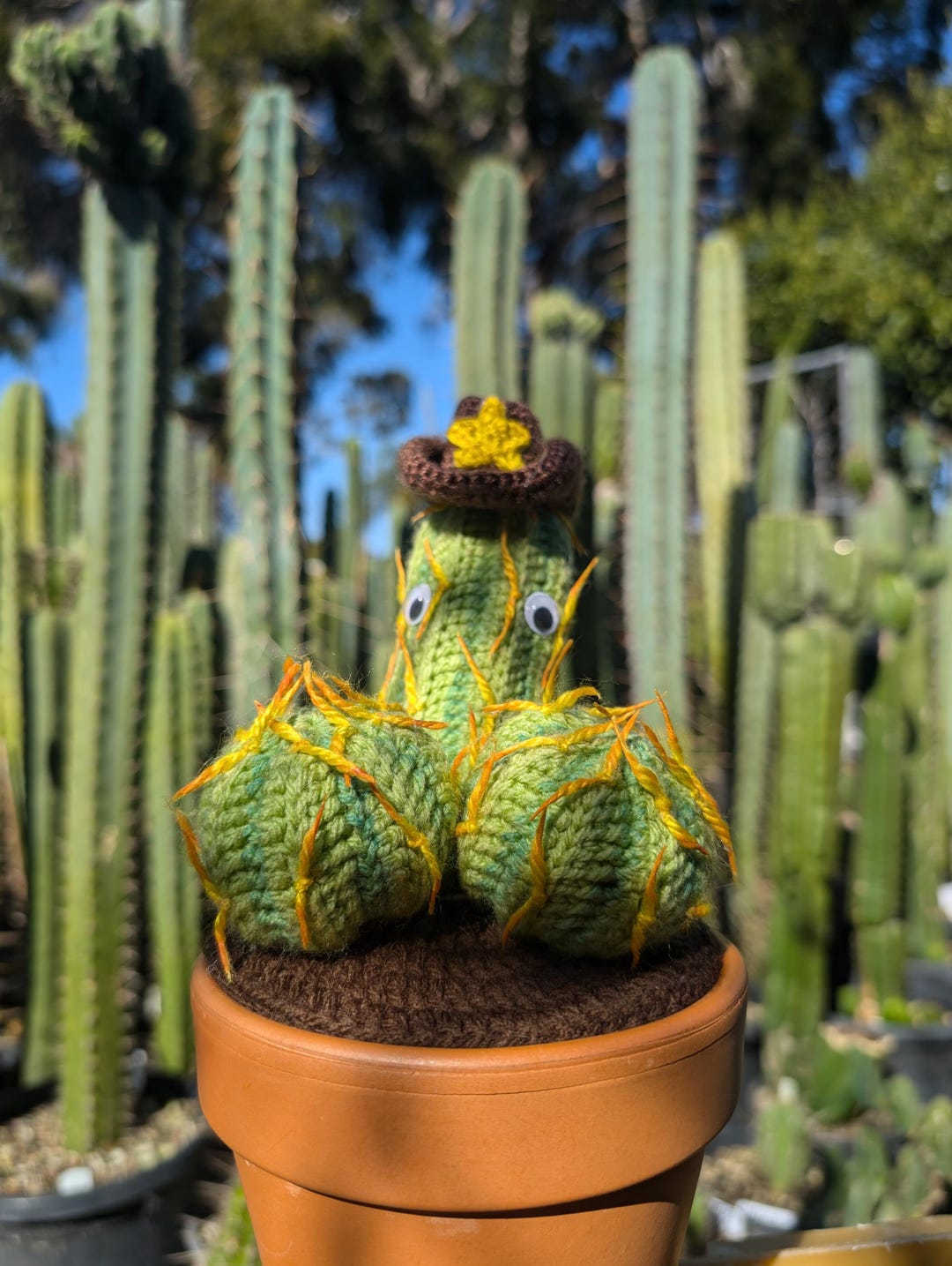 Crochet Cactus Plant Pot Trinket Box With Dress-up Hats - Etsy