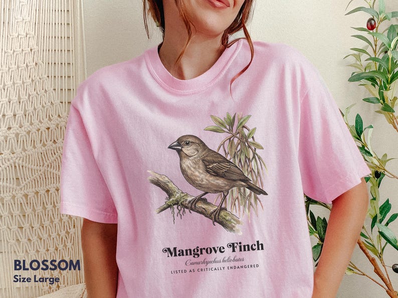 Mangrove Finch T-shirt | Galápagos Bird Illustration - Etsy