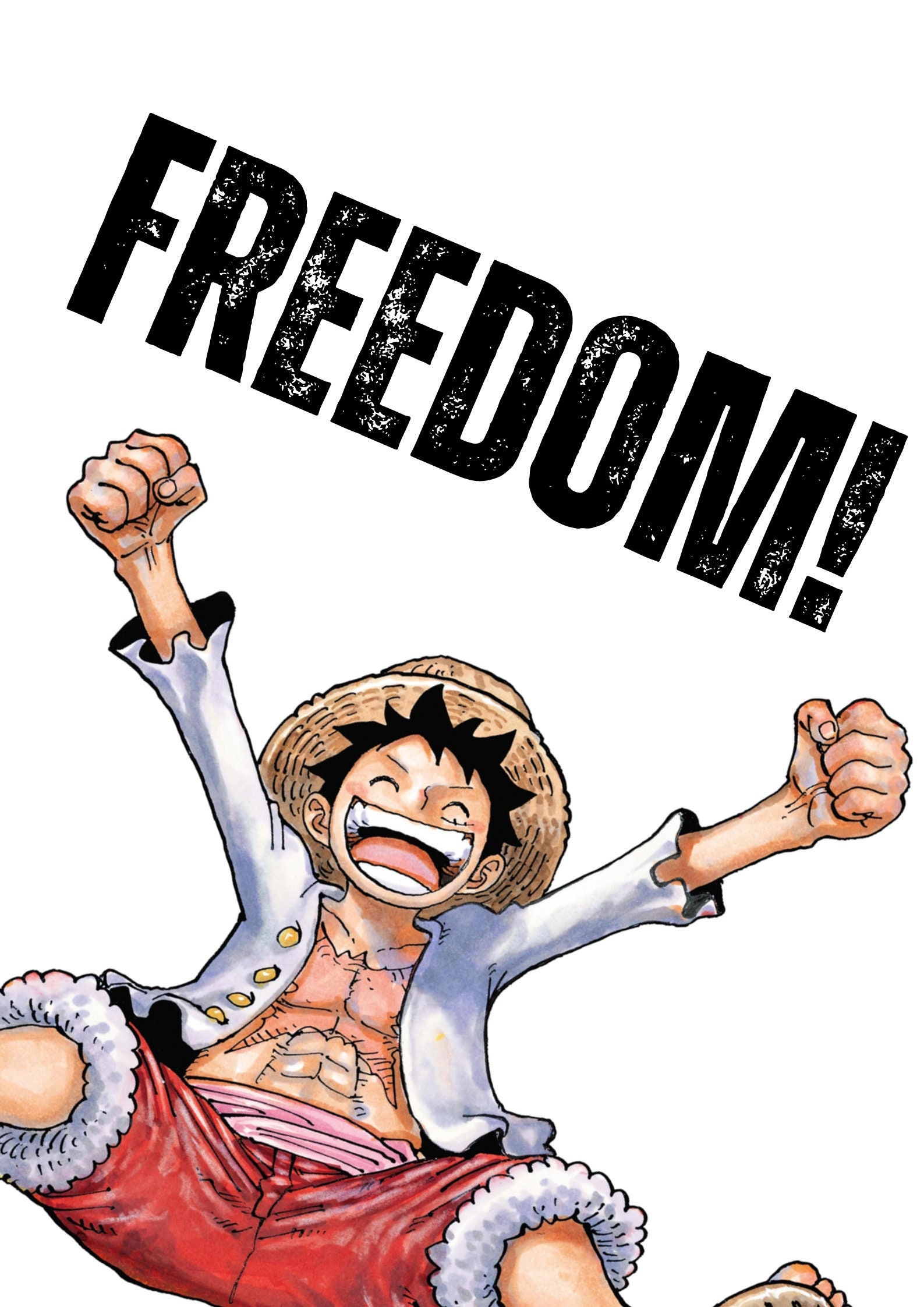 Monkey D Luffy Freedom Poster White One Piece - Etsy