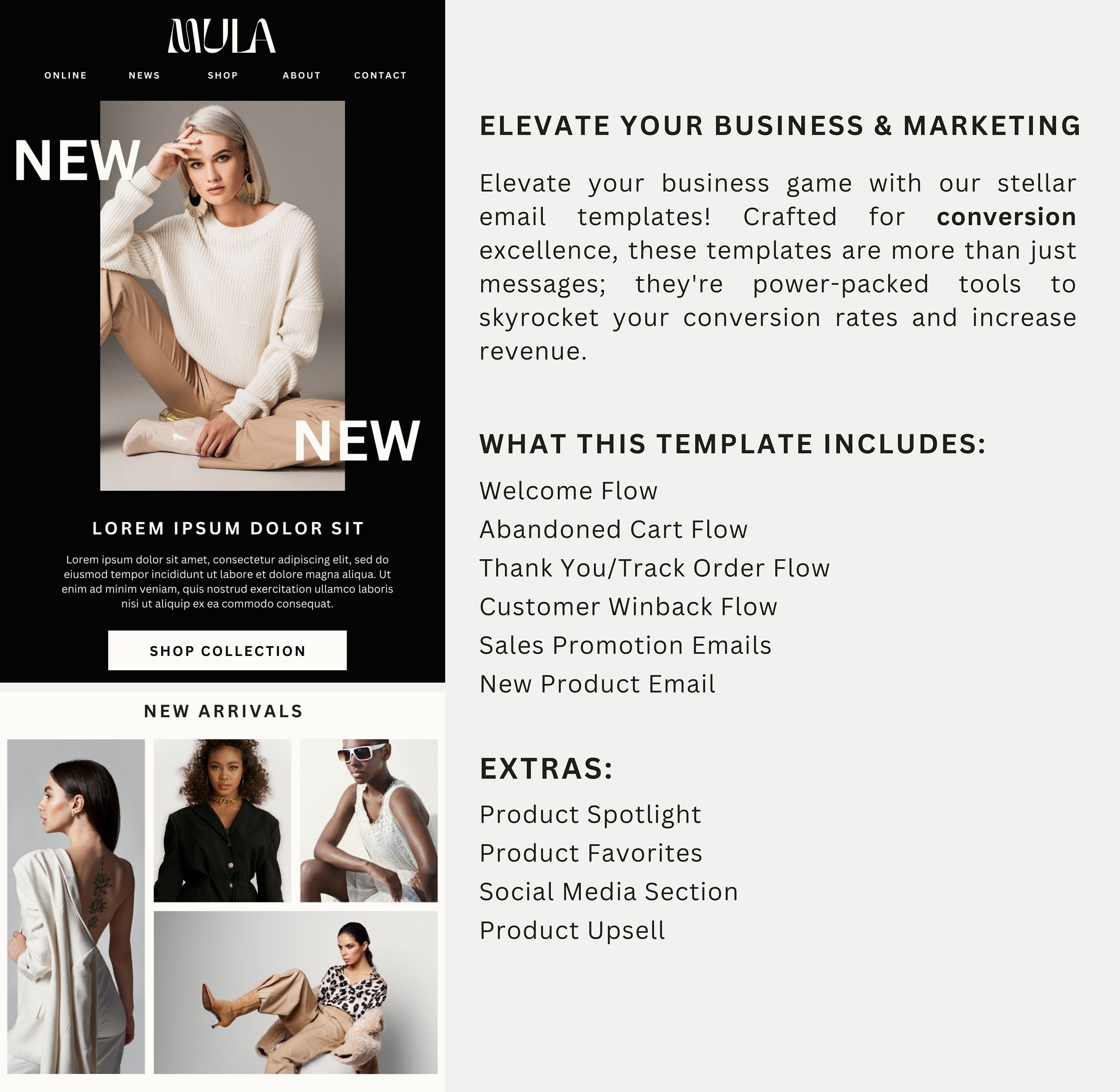 Canva Email Template, Email Marketing Newsletter, Newsletter Canva ...