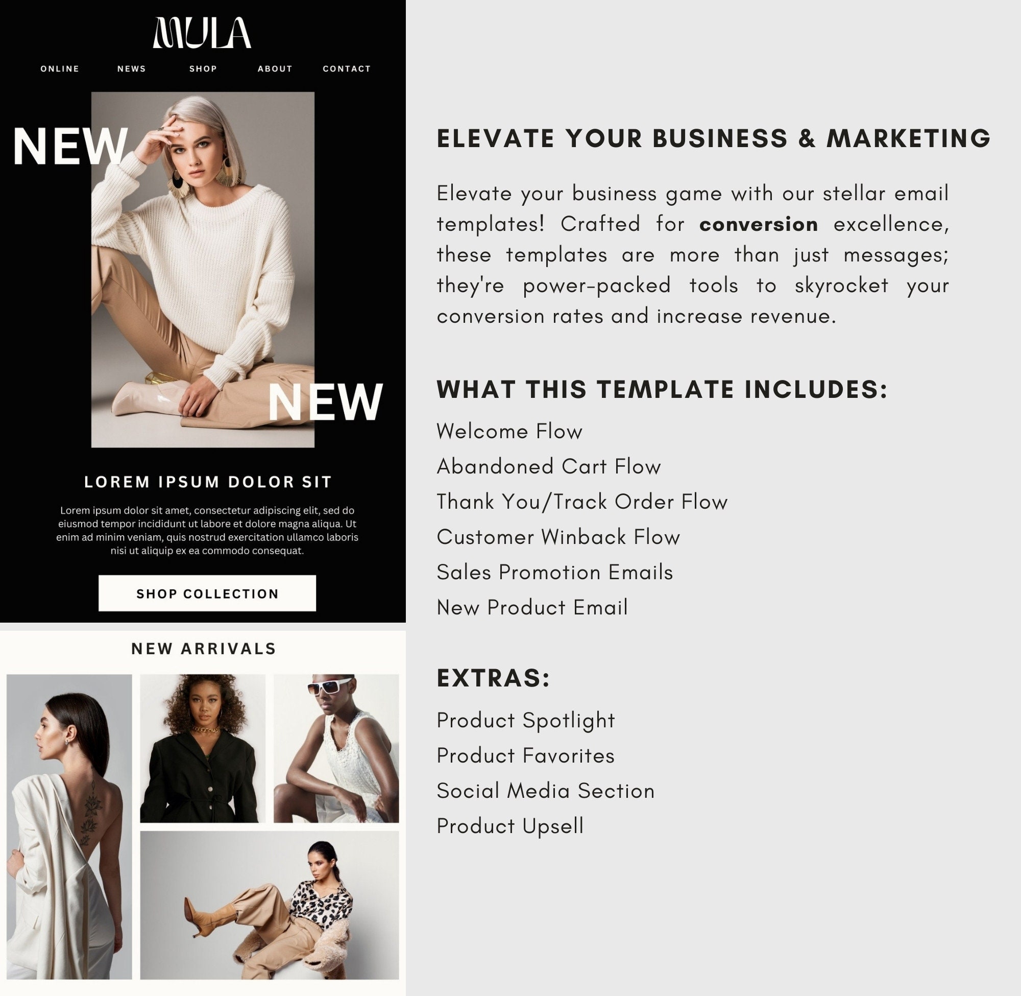 Canva Email Template, Email Marketing Newsletter, Newsletter Canva ...